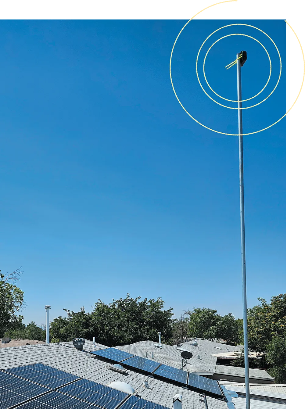 Bringing Bat Science to Your Backyard