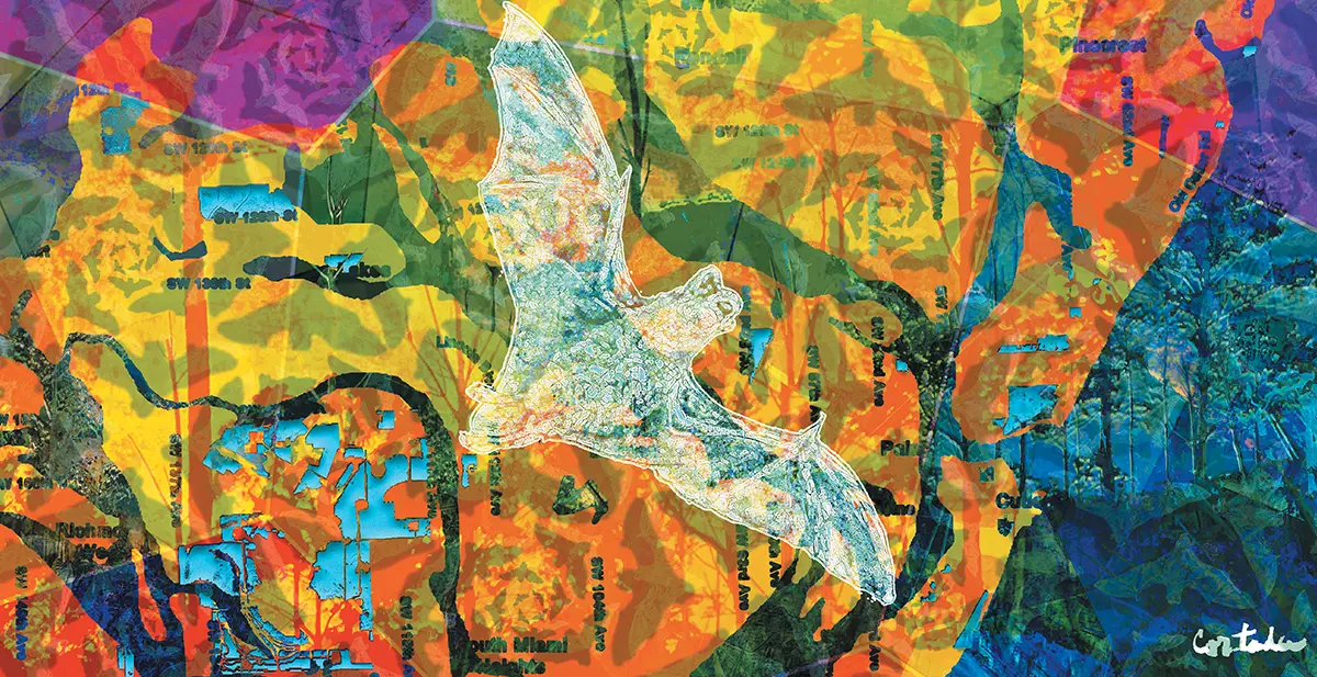 A Conservation Victory in Miami - Bat Conservation International