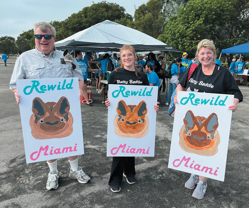 A Conservation Victory in Miami - Bat Conservation International