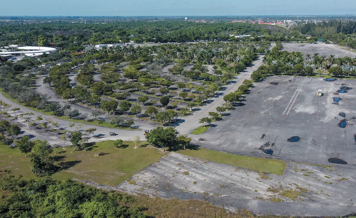 A Conservation Victory in Miami - Bat Conservation International