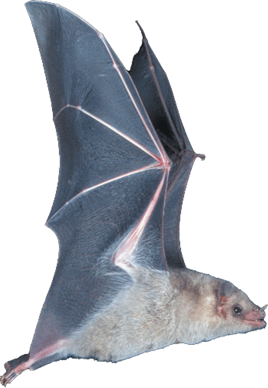 A Win for Community Science