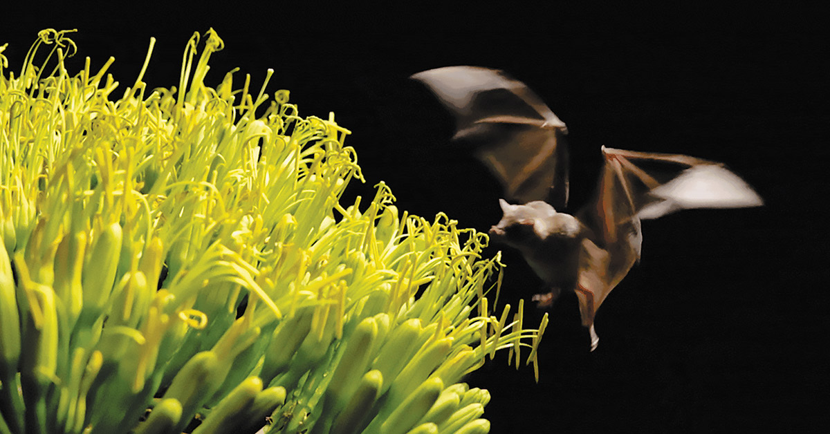 A Win for Community Science