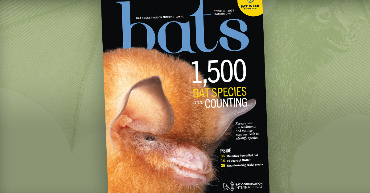 Volume 44, Issue 3